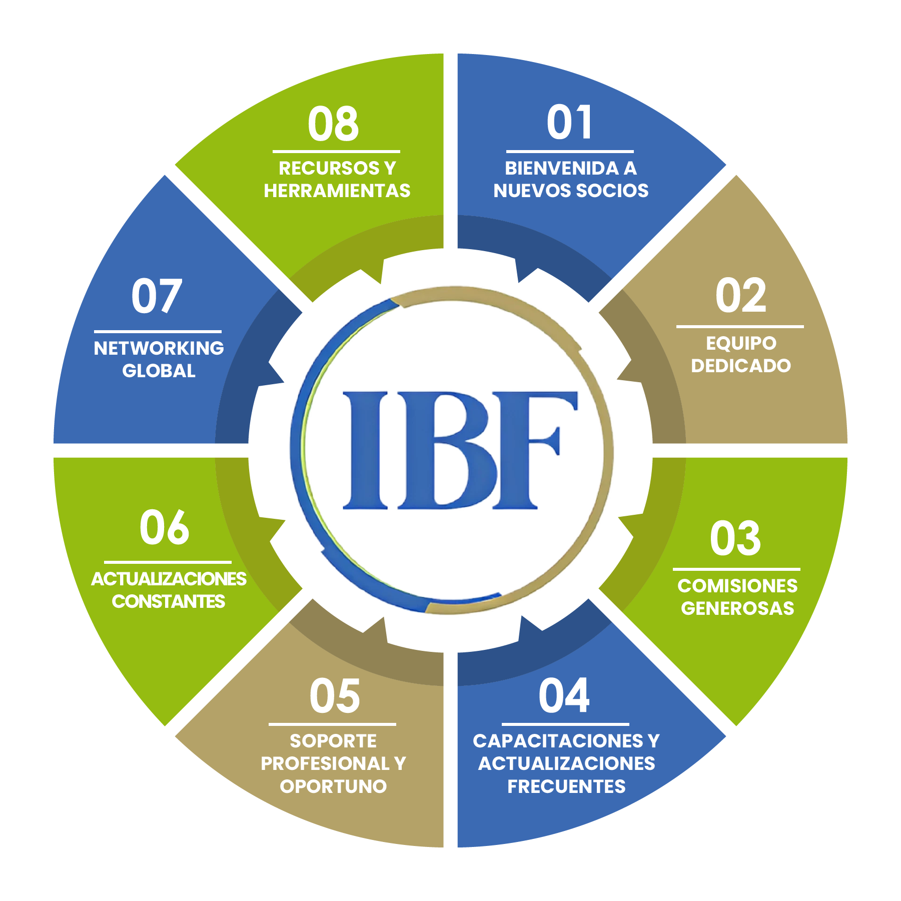 Programa de Aliados - IBF International Education and Migration